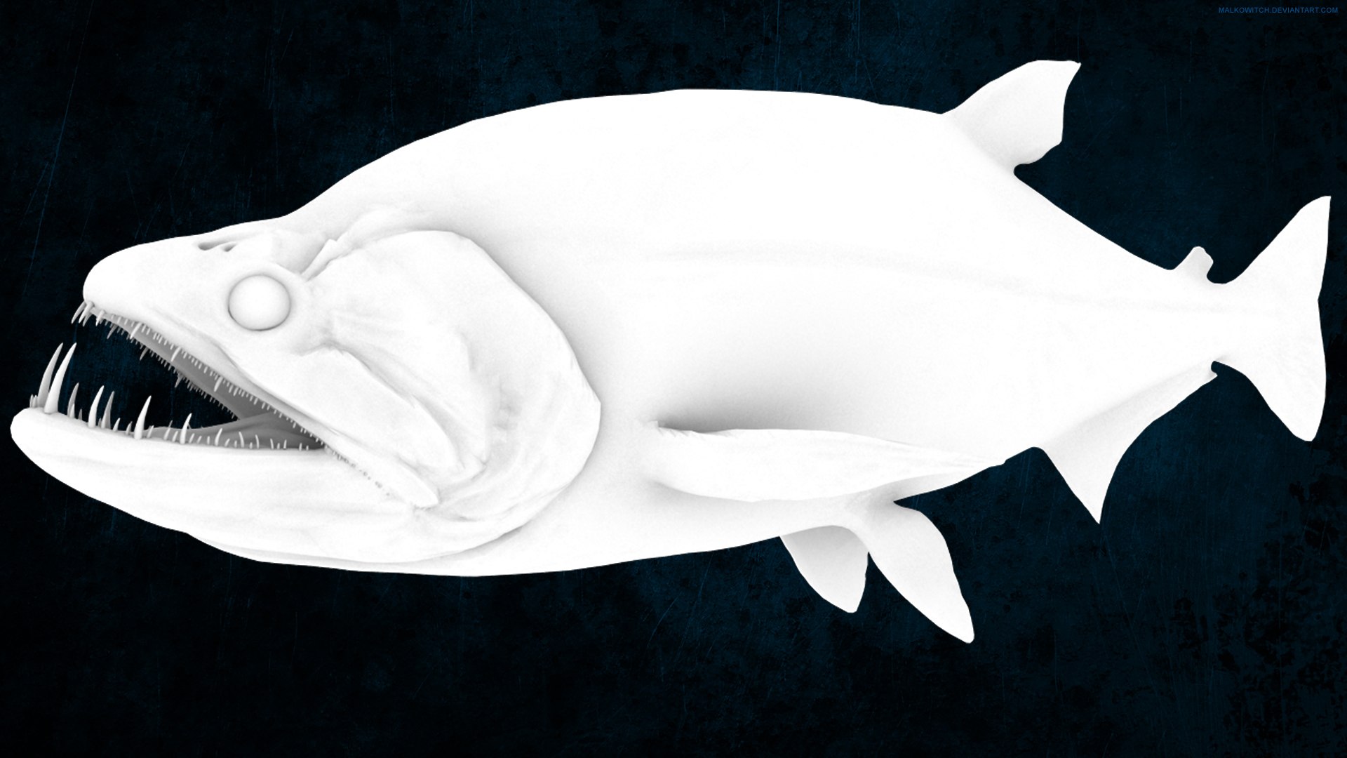 3d model of payara vampire fish
