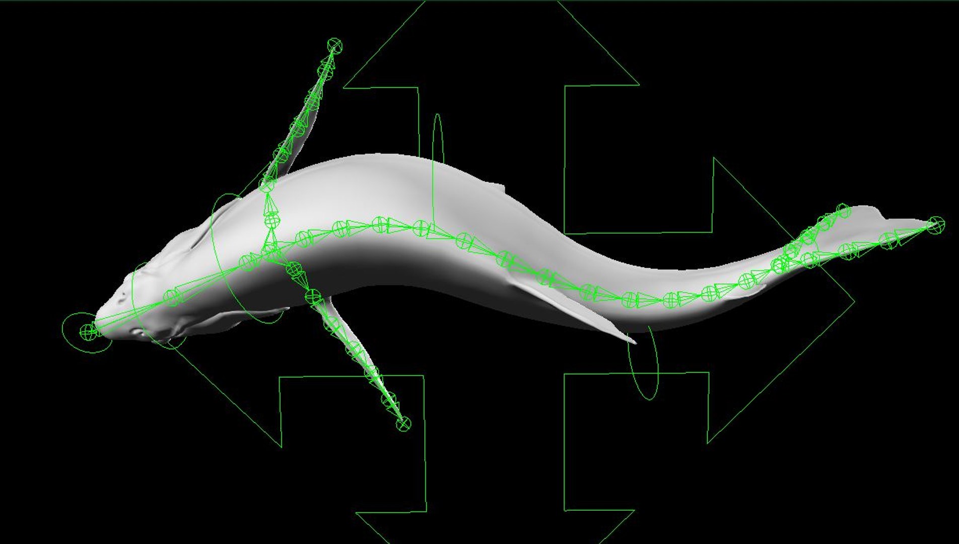 3d model of payara vampire fish