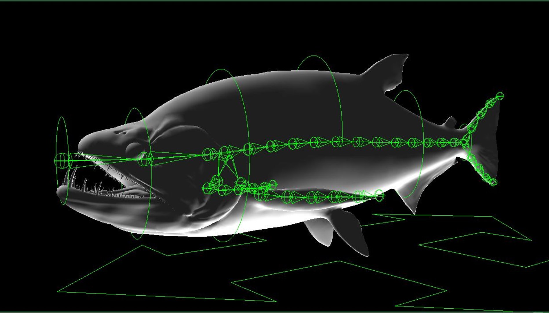 3d model of payara vampire fish