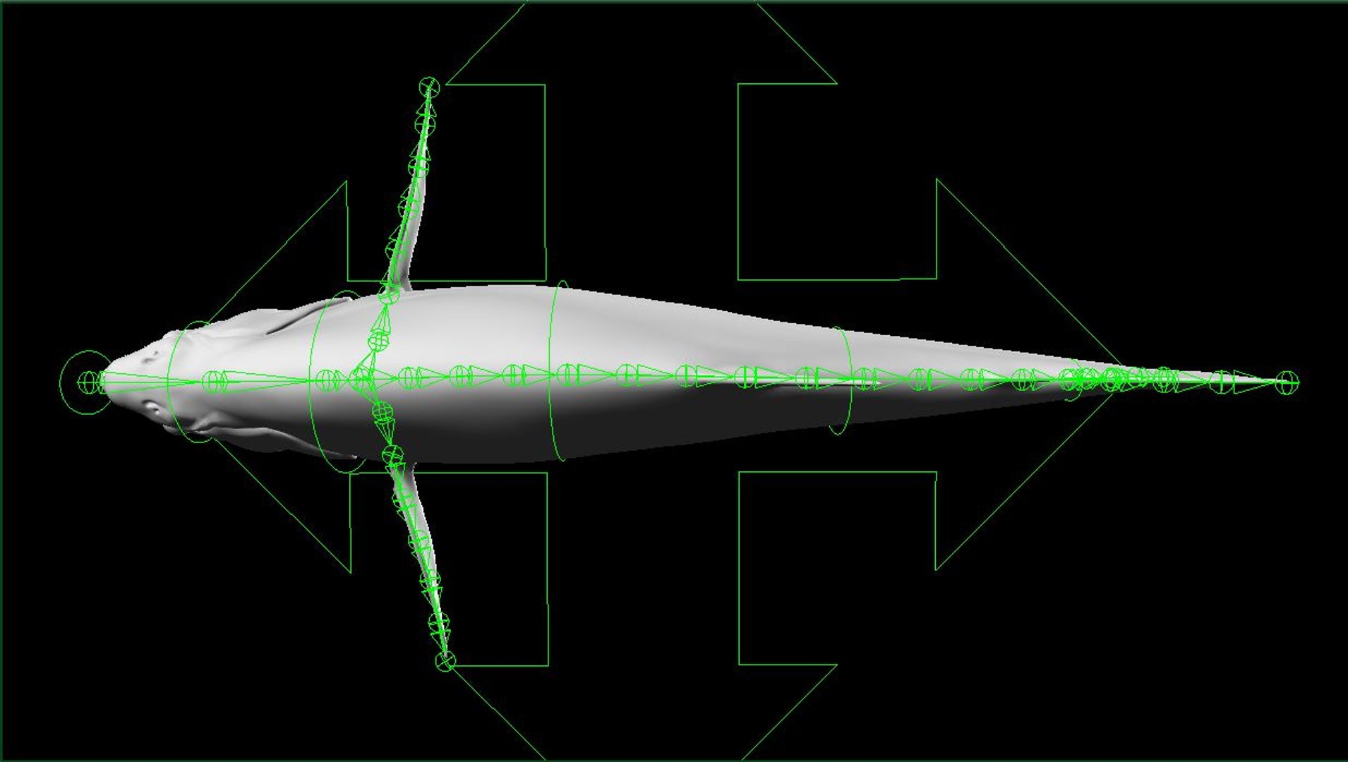 3d model of payara vampire fish