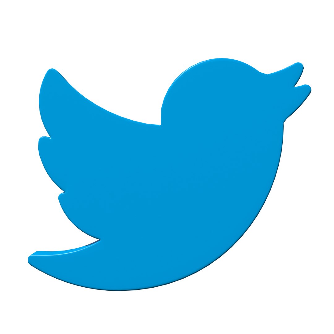 Twitter Bird Symbol 3D - TurboSquid 2308980
