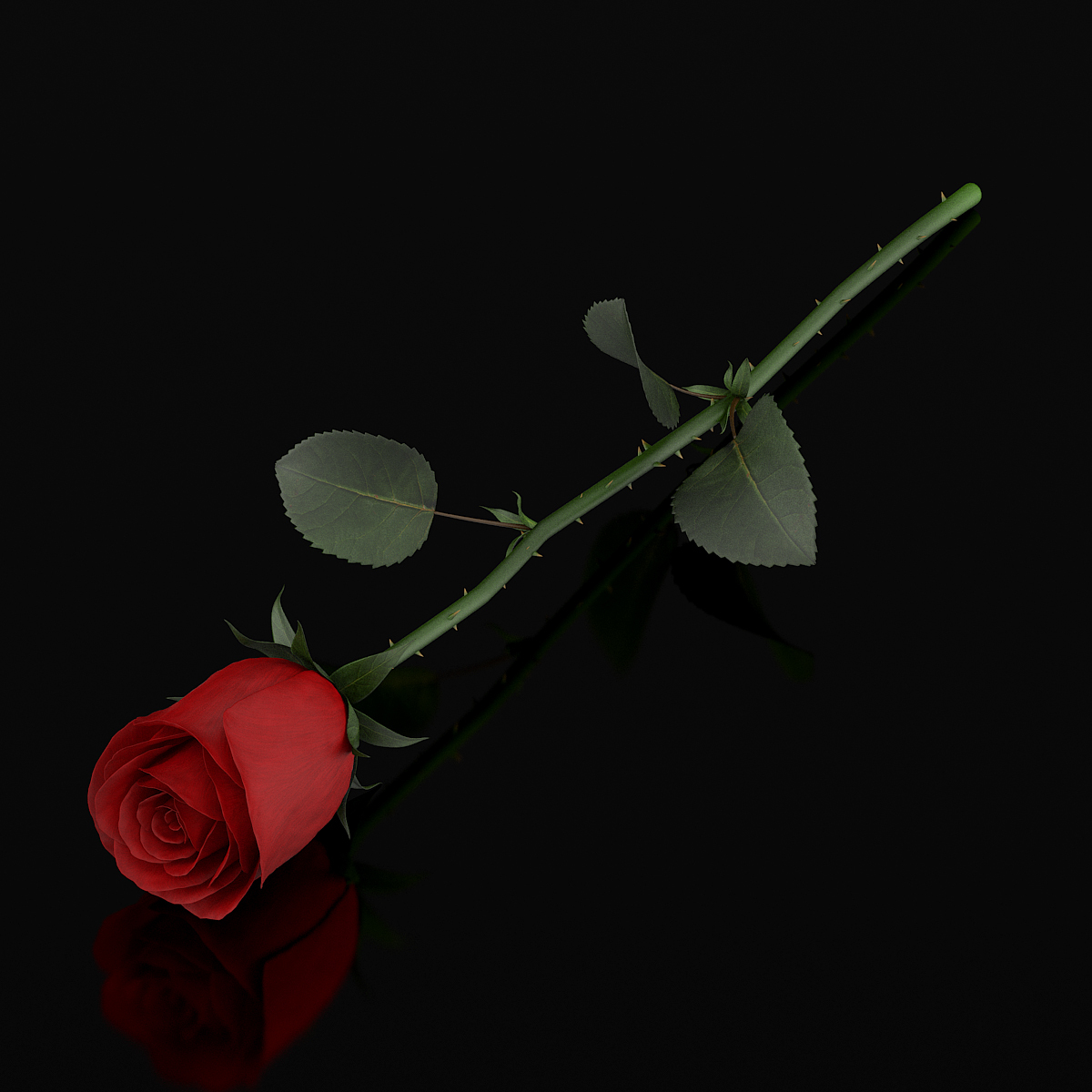 red rose 3d model