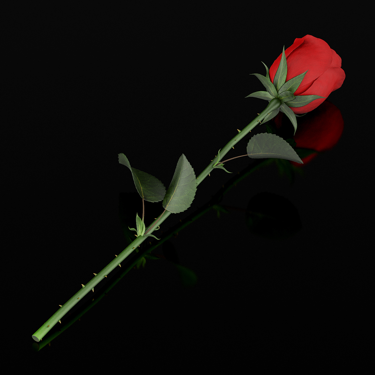 red rose 3d model