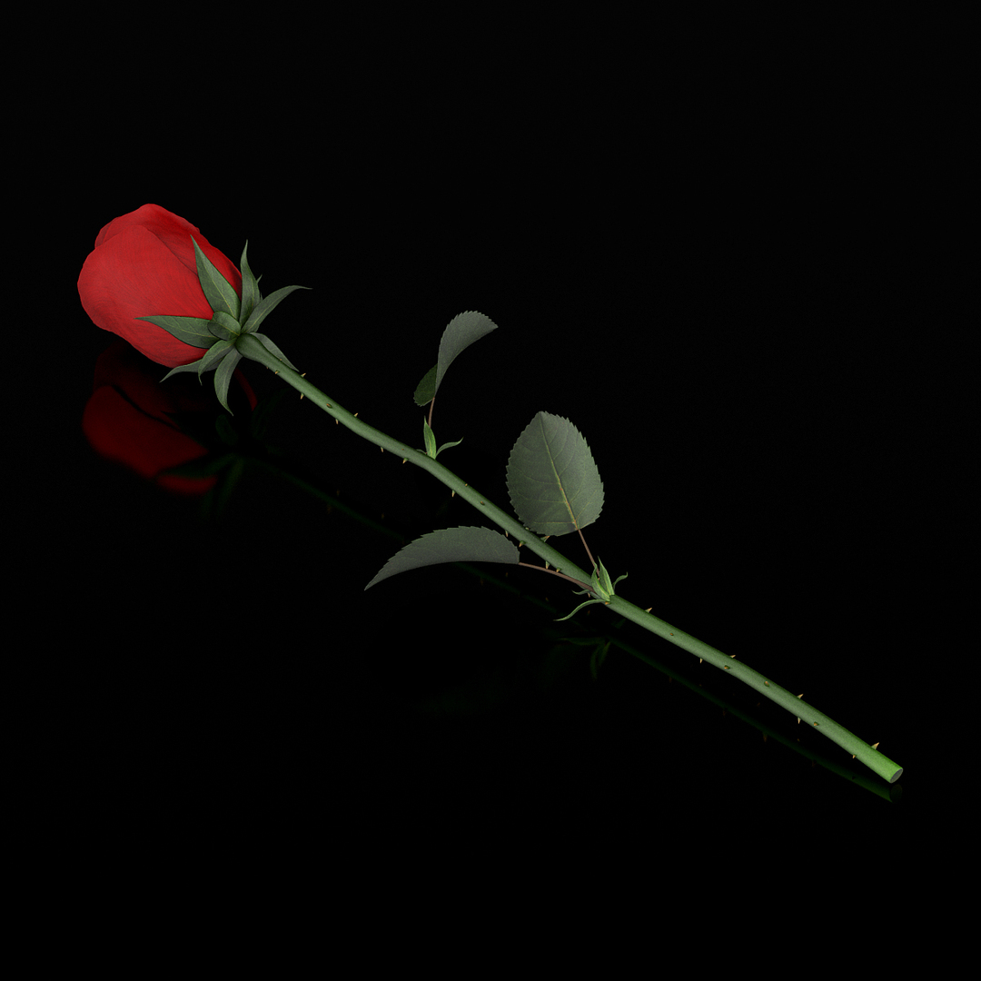 red rose 3d model