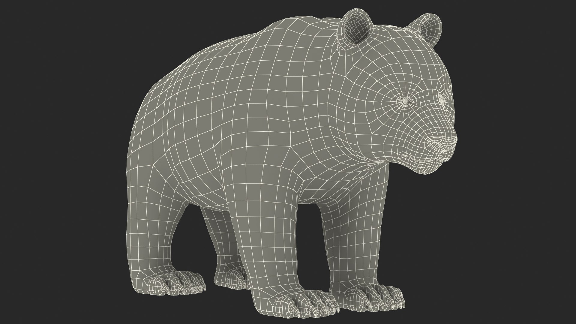 Giant Panda Rigged 3D model - TurboSquid 1805392