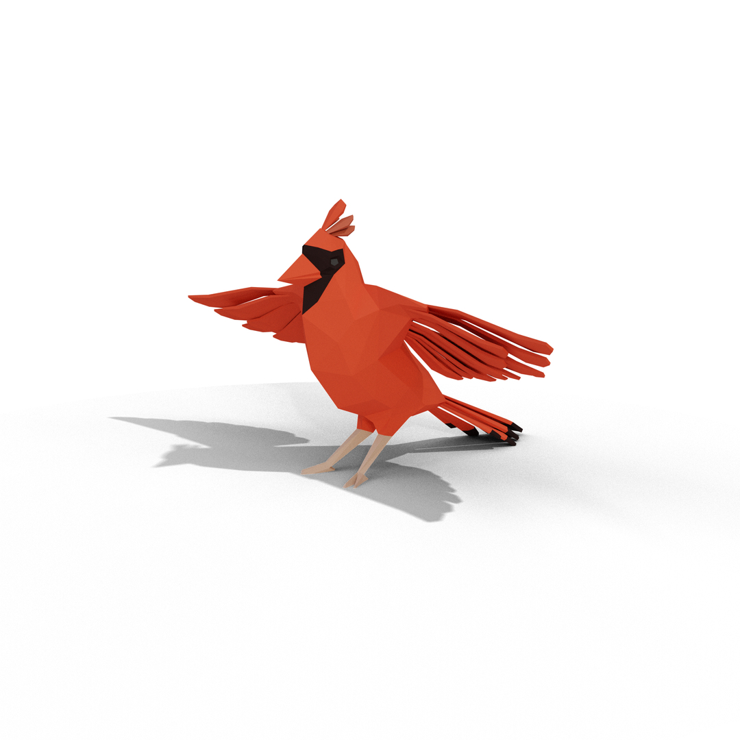 Cardinal Bird Lowpoly Rigged 3d Model 3D Model - TurboSquid 2413824
