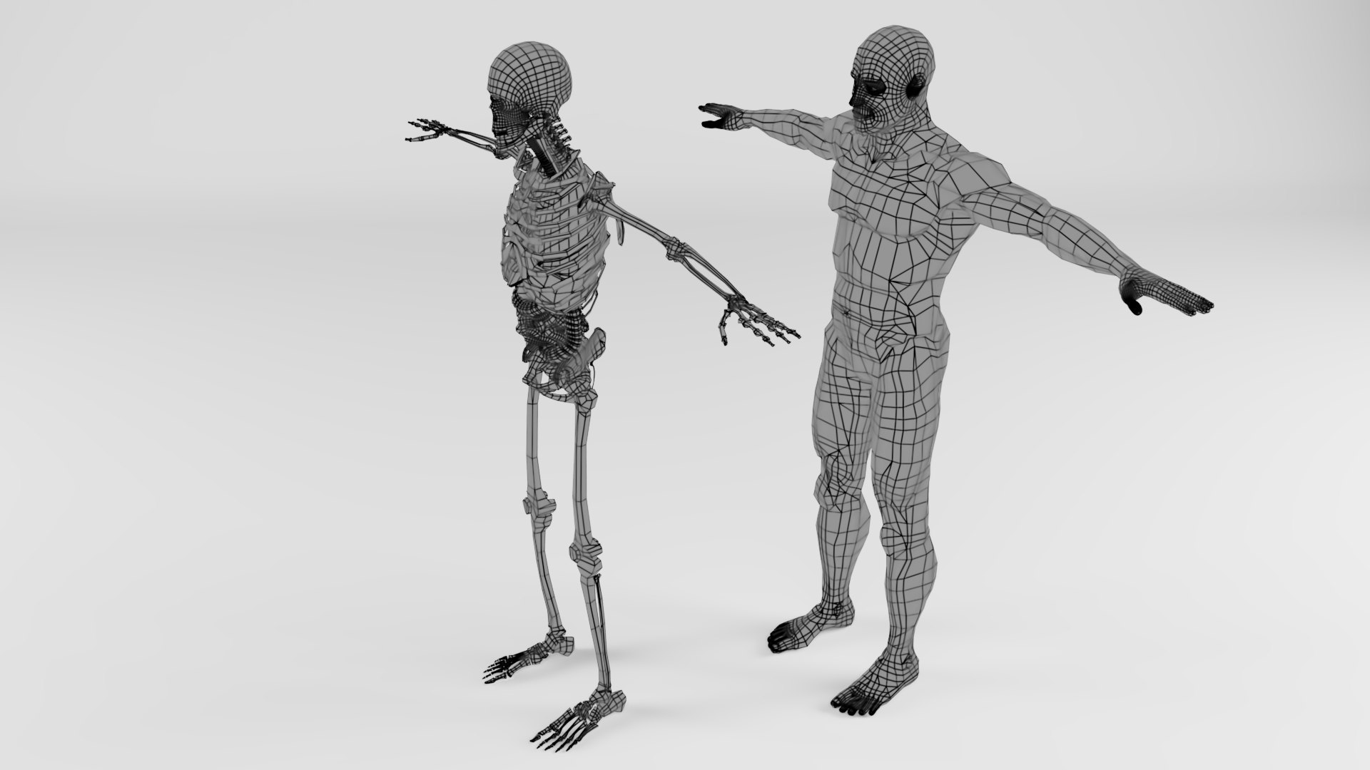 3D Model Human Respiratory System - TurboSquid 2013923