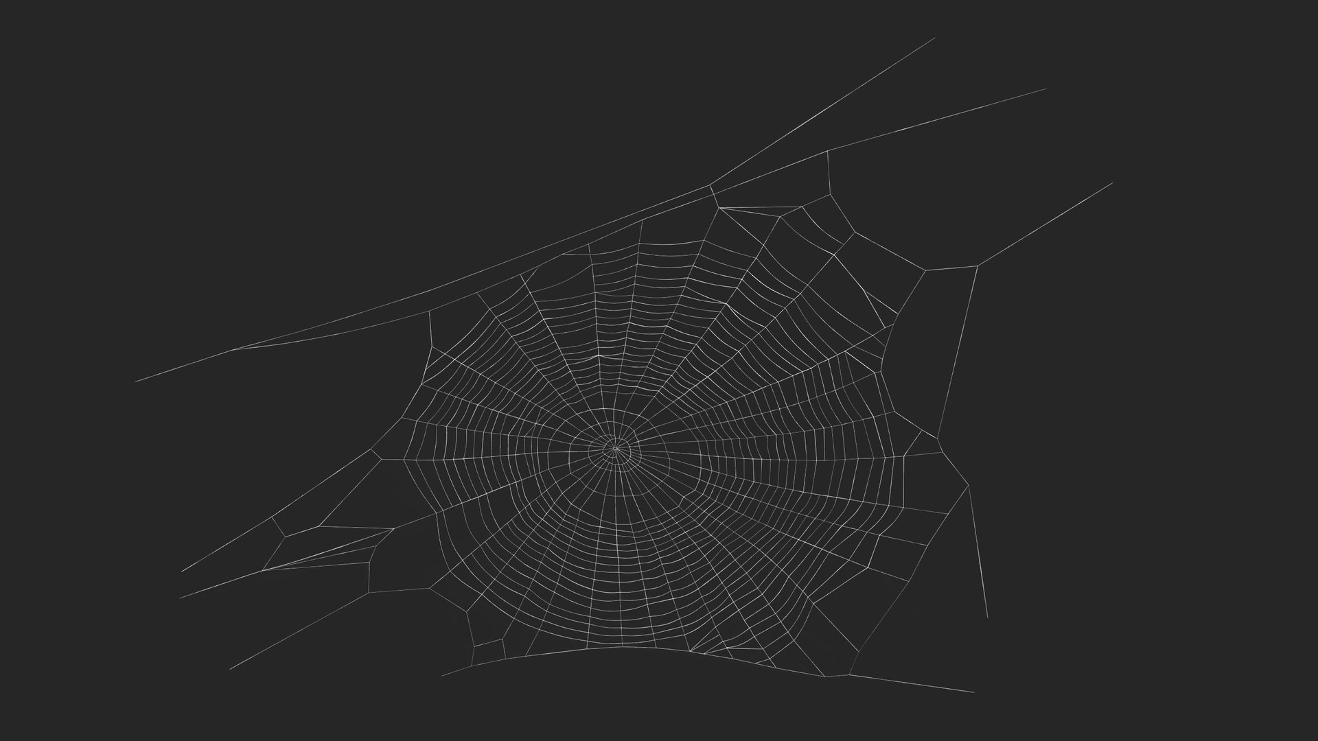 3D Round Spider Web Model - TurboSquid 2206787