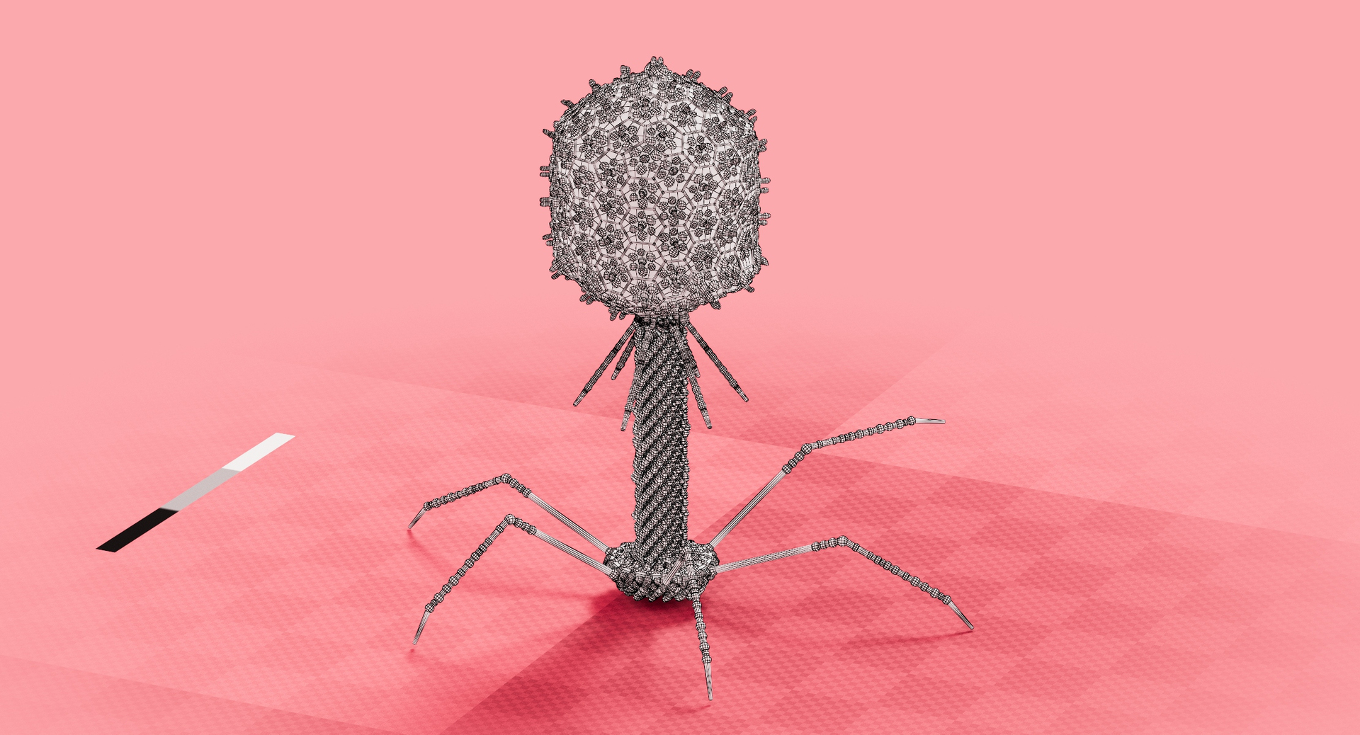 Bacteriophage t4 virus 3D - TurboSquid 1520557