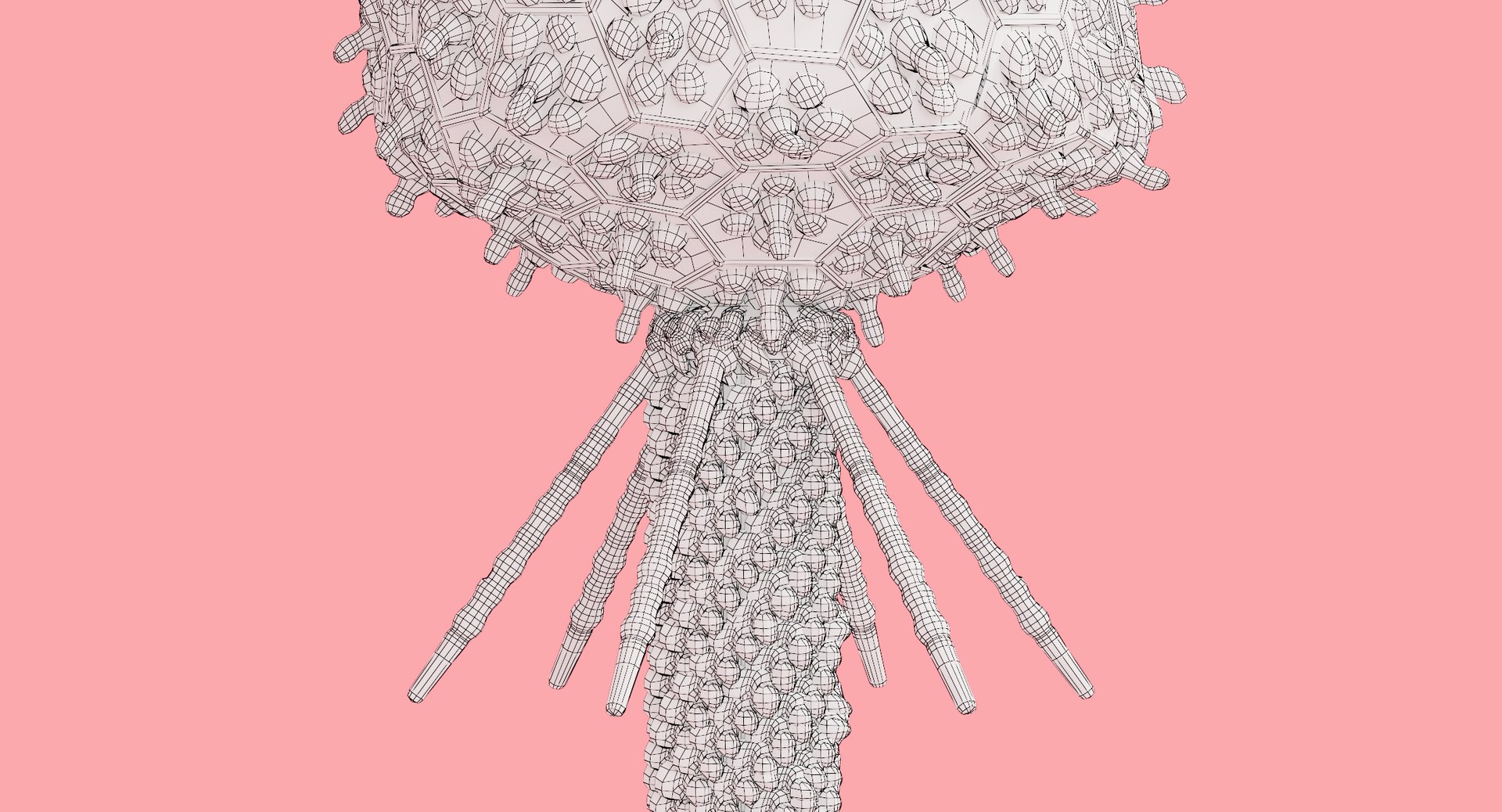 Bacteriophage t4 virus 3D - TurboSquid 1520557