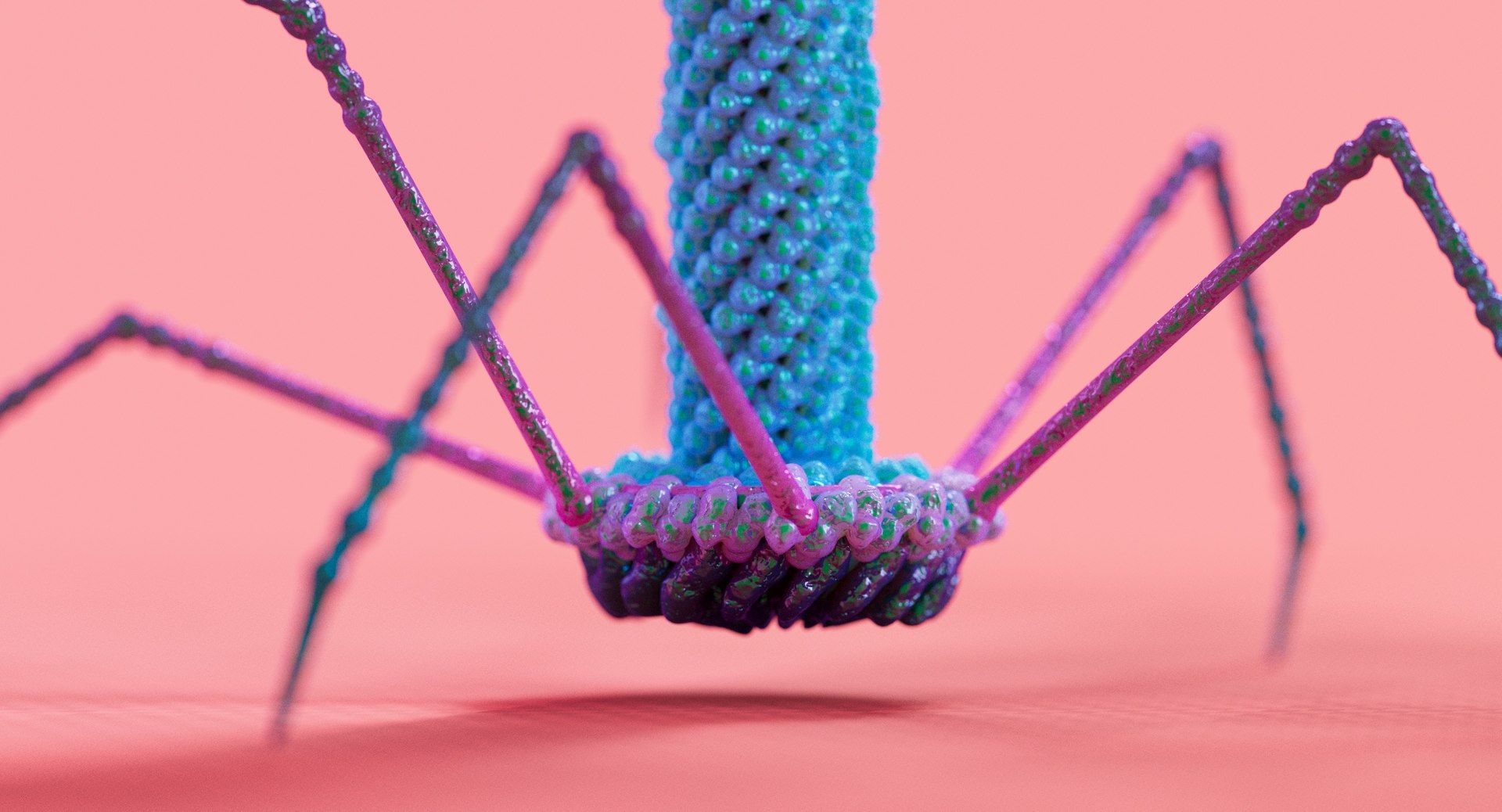 Bacteriophage T4 Virus 3D - TurboSquid 1520557