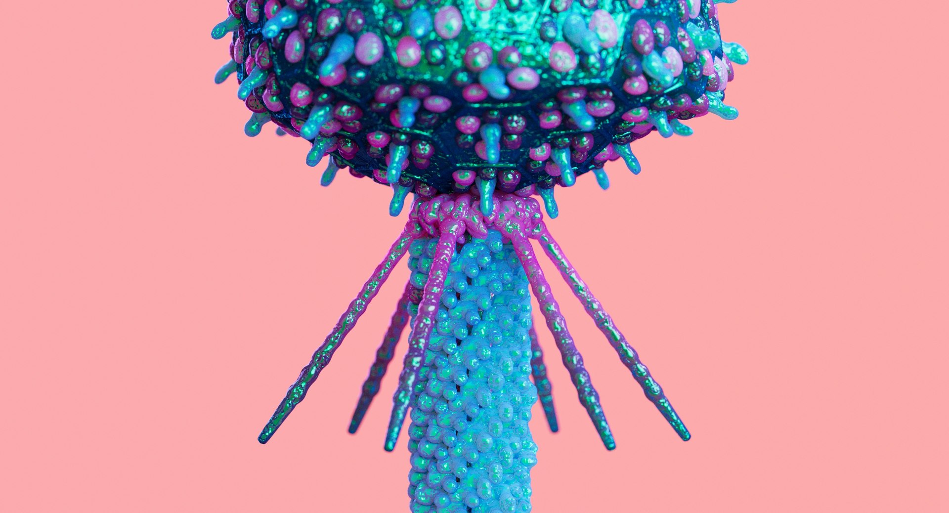 Bacteriophage T4 Virus 3D - TurboSquid 1520557