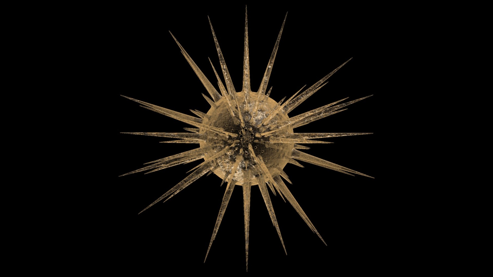Rabiolaria Radiozoa Mineral 3d Model