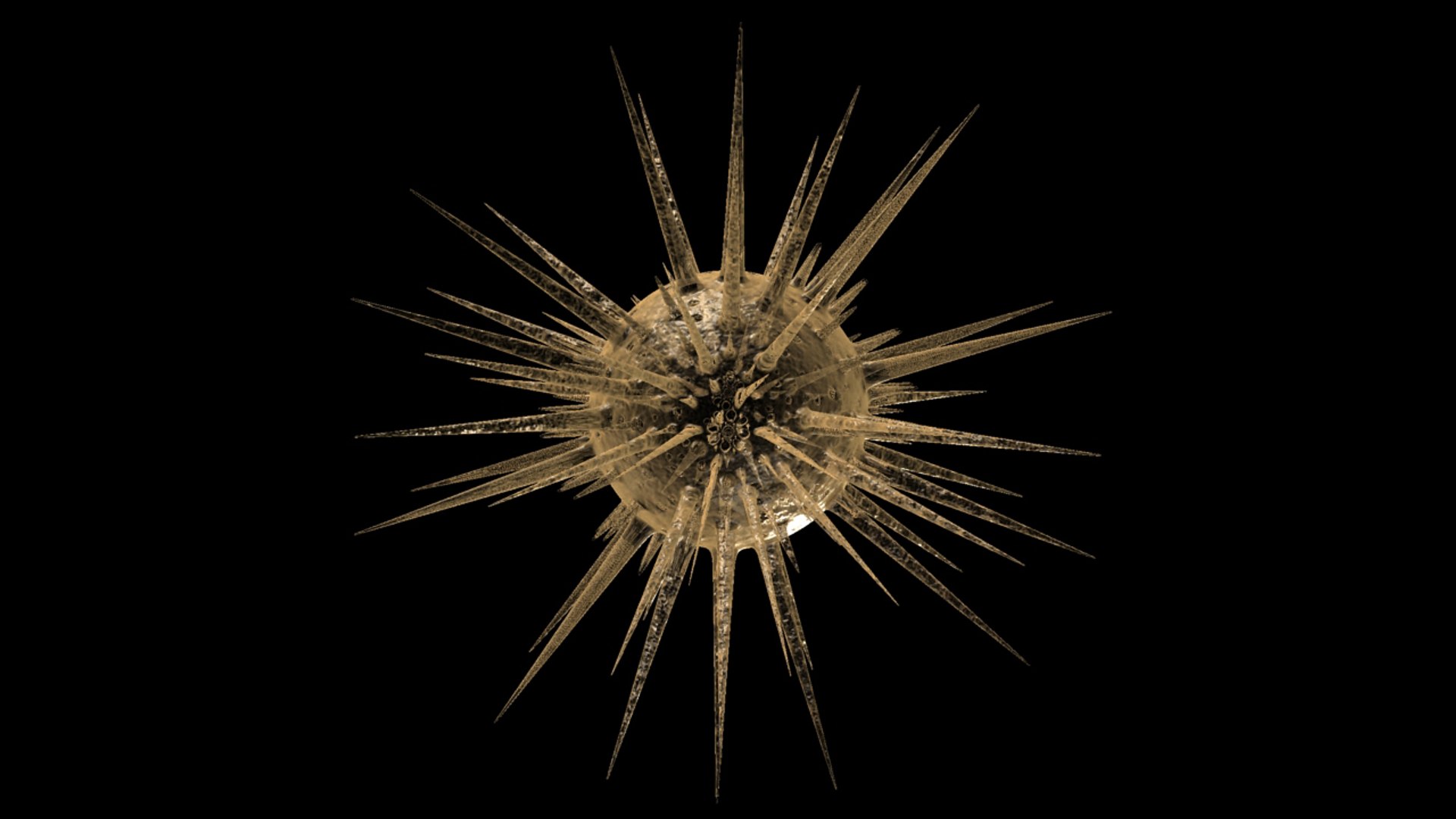 Rabiolaria Radiozoa Mineral 3d Model