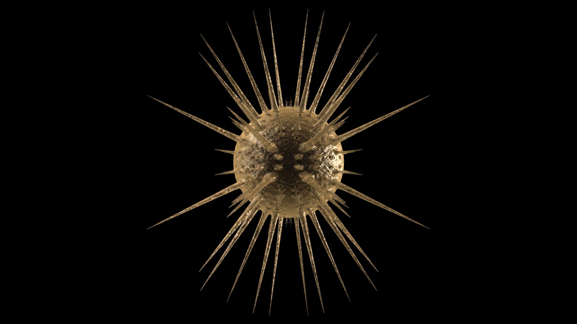 Rabiolaria Radiozoa Mineral 3d Model