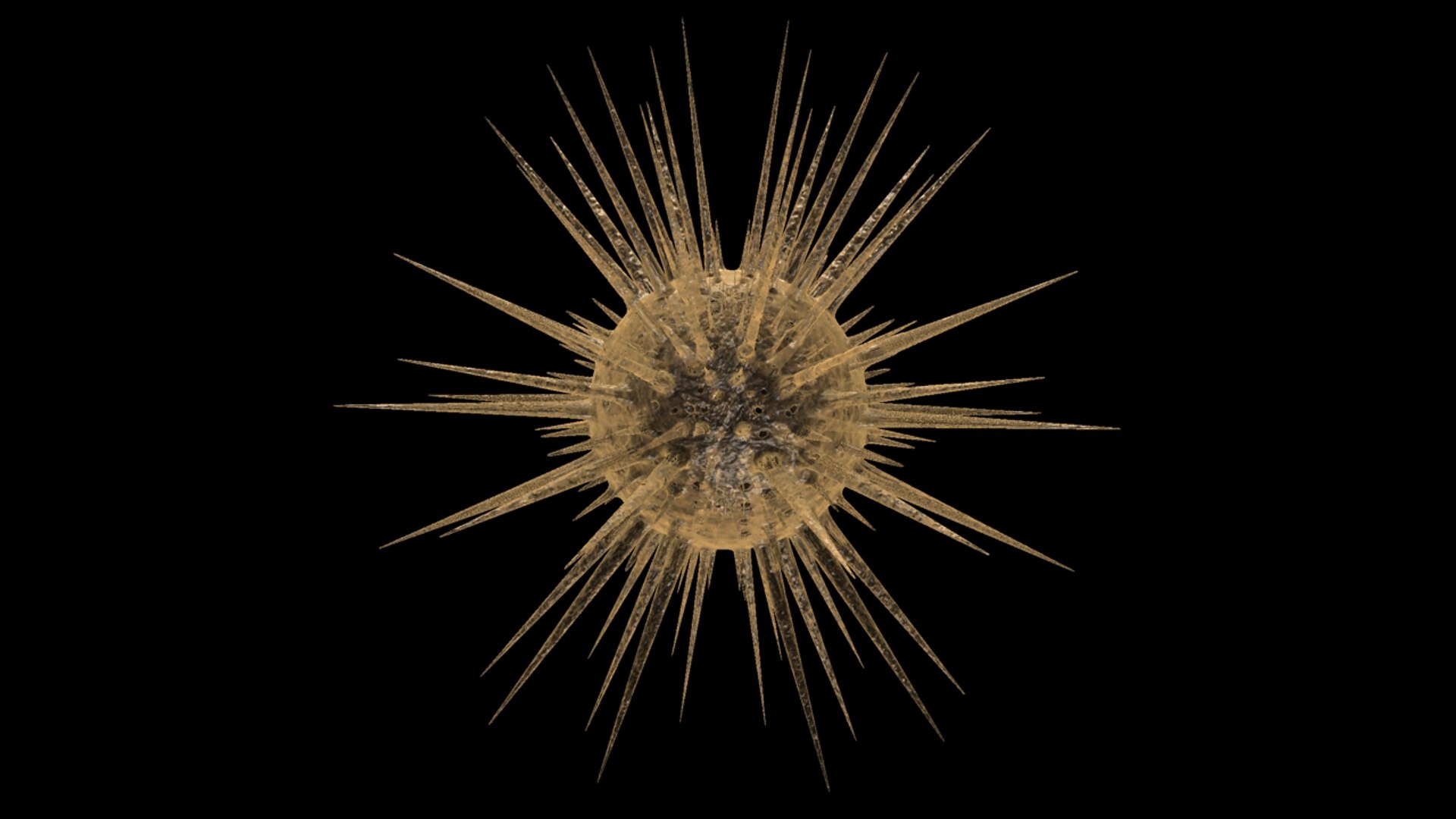 Rabiolaria Radiozoa Mineral 3d Model