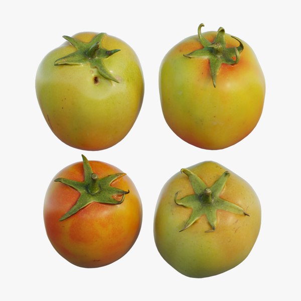 modelo 3d Tomato 05 - TurboSquid 1946214