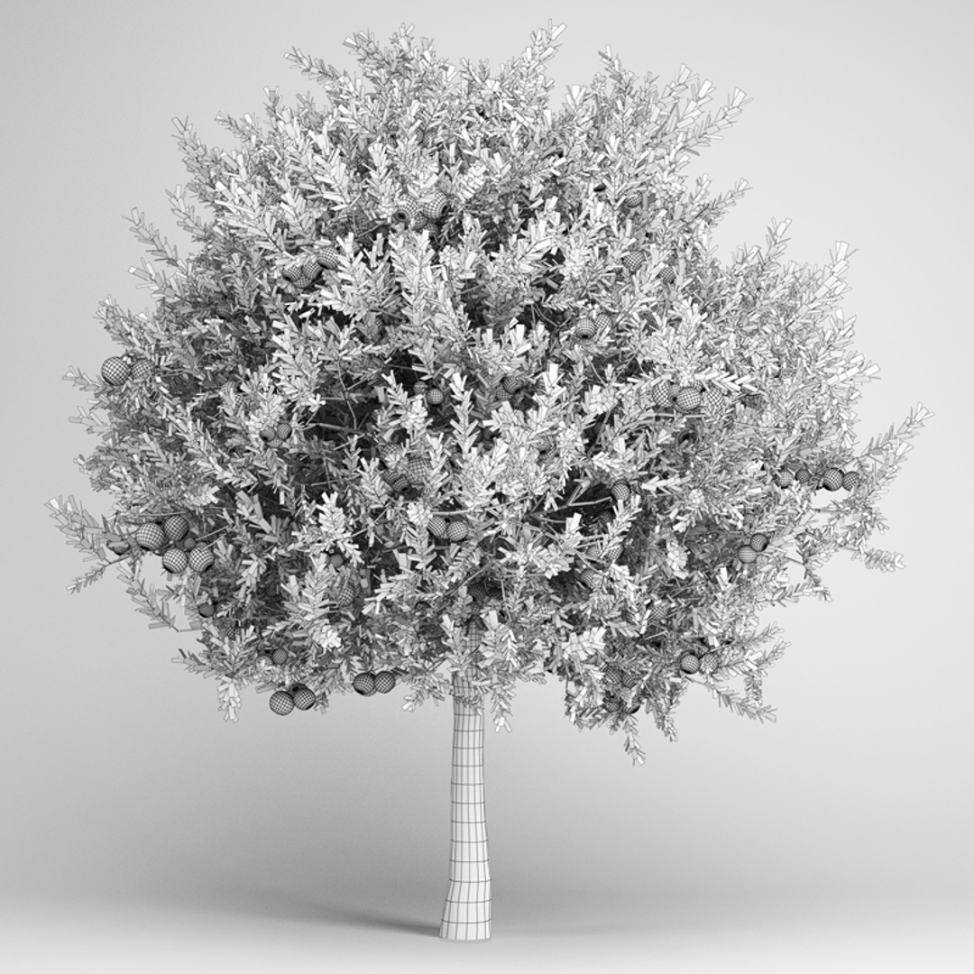 orange tree 20 3d model