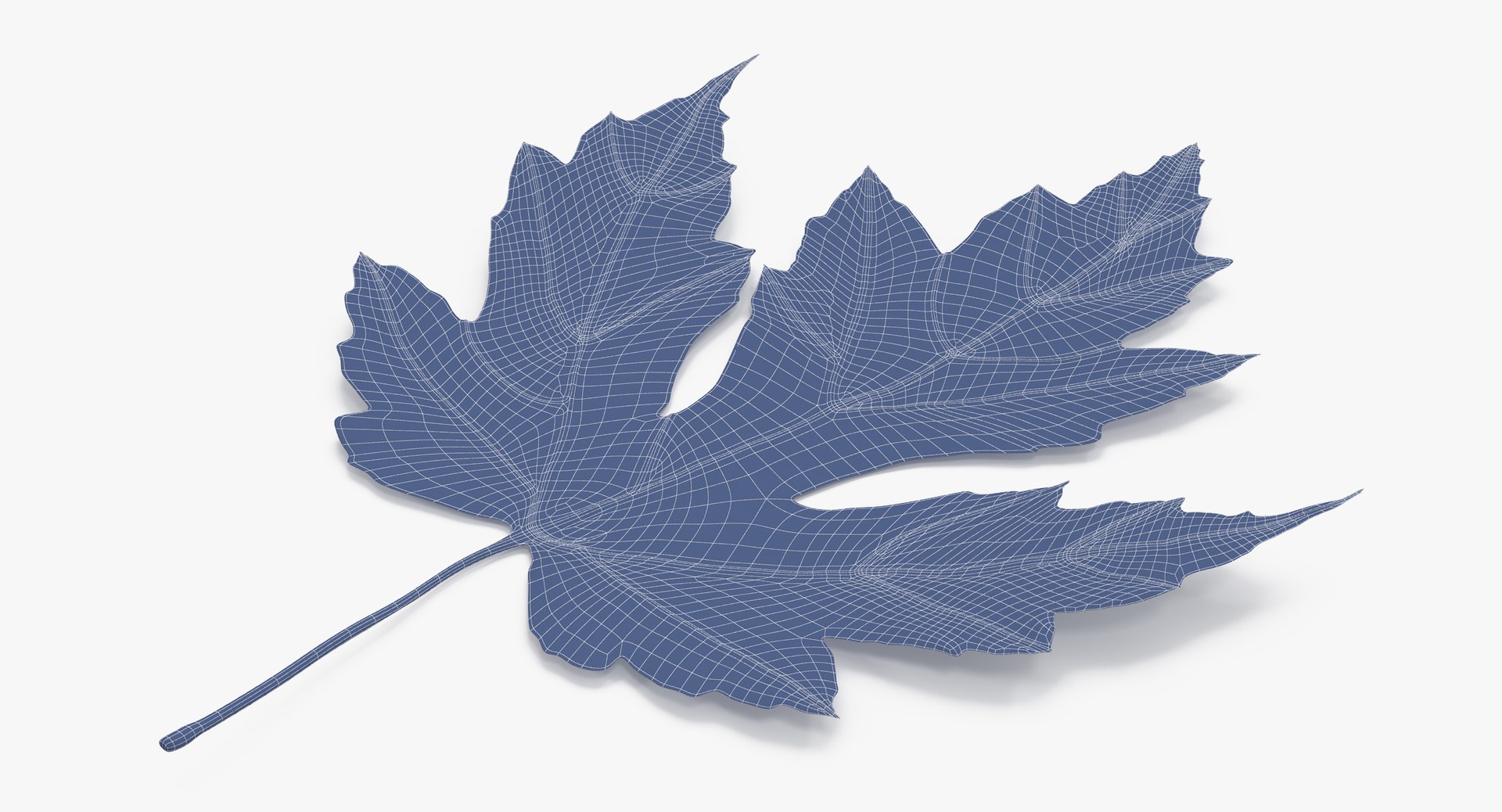 3d yellow maple leaf