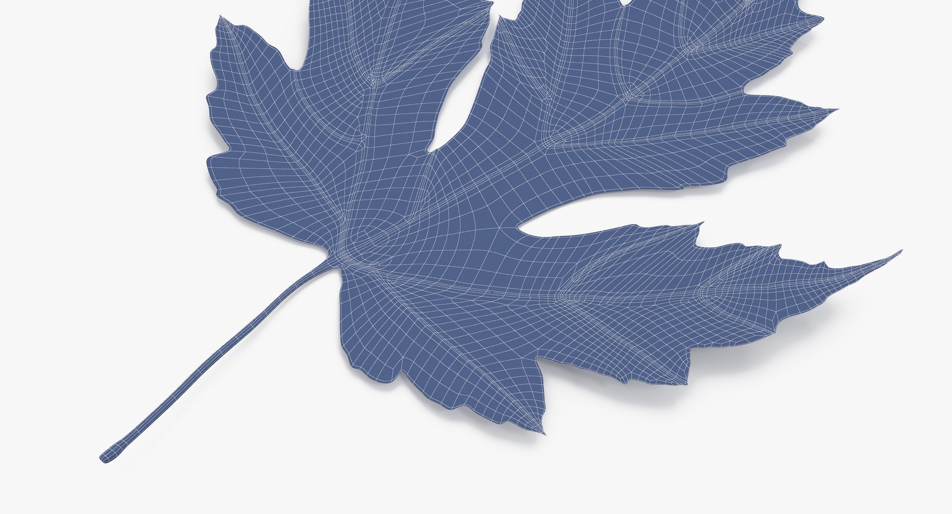 3d yellow maple leaf