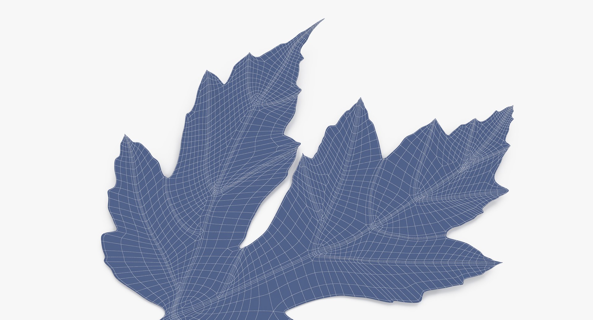 3d yellow maple leaf