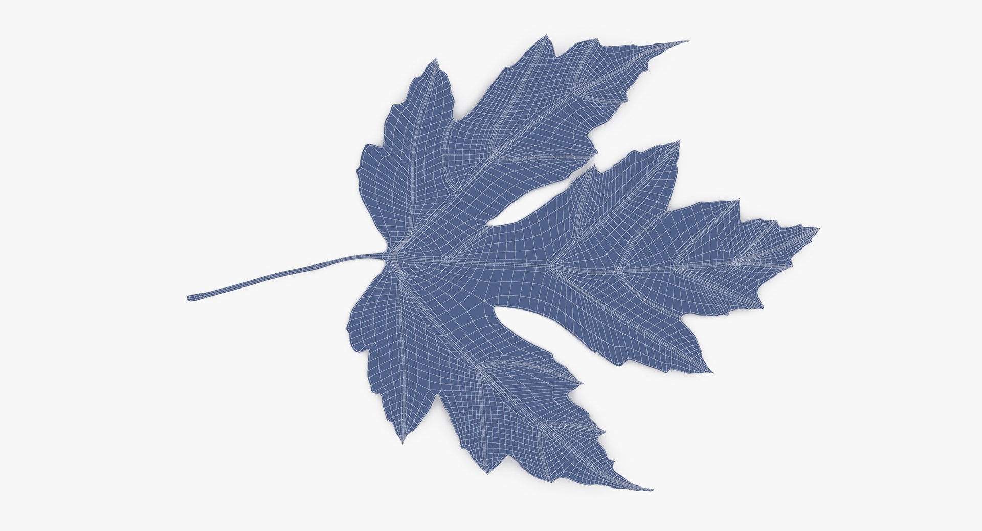 3d yellow maple leaf