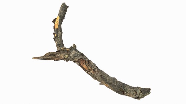 3D model realistic - TurboSquid 1618294