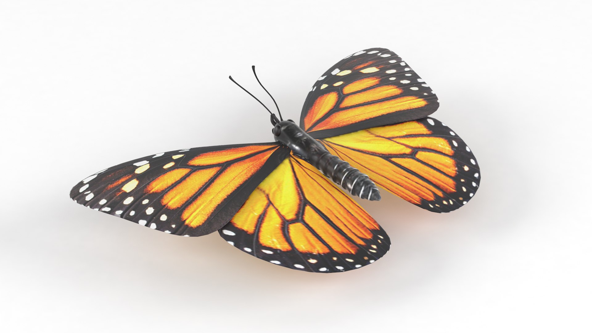 3D Butterfly - TurboSquid 2238061