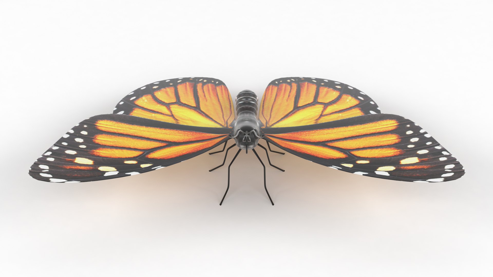 3D Butterfly - TurboSquid 2238061