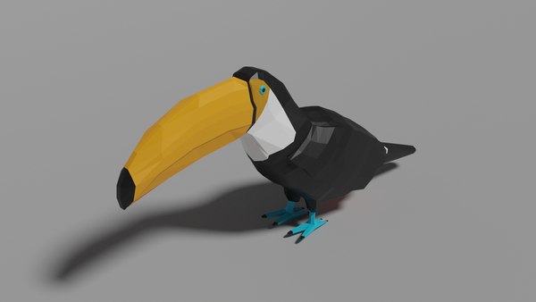 Toucan 3D Models for Download | TurboSquid