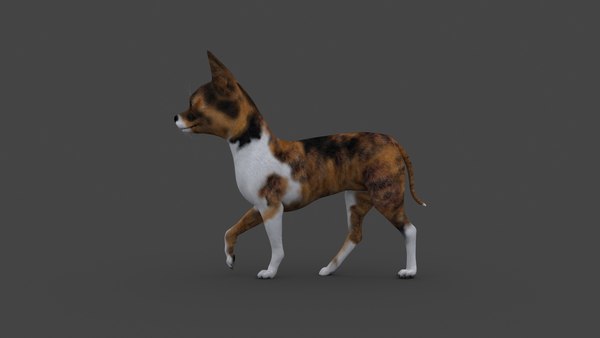 CHI-019所定の位置を歩く3Dモデル - TurboSquid 1846316