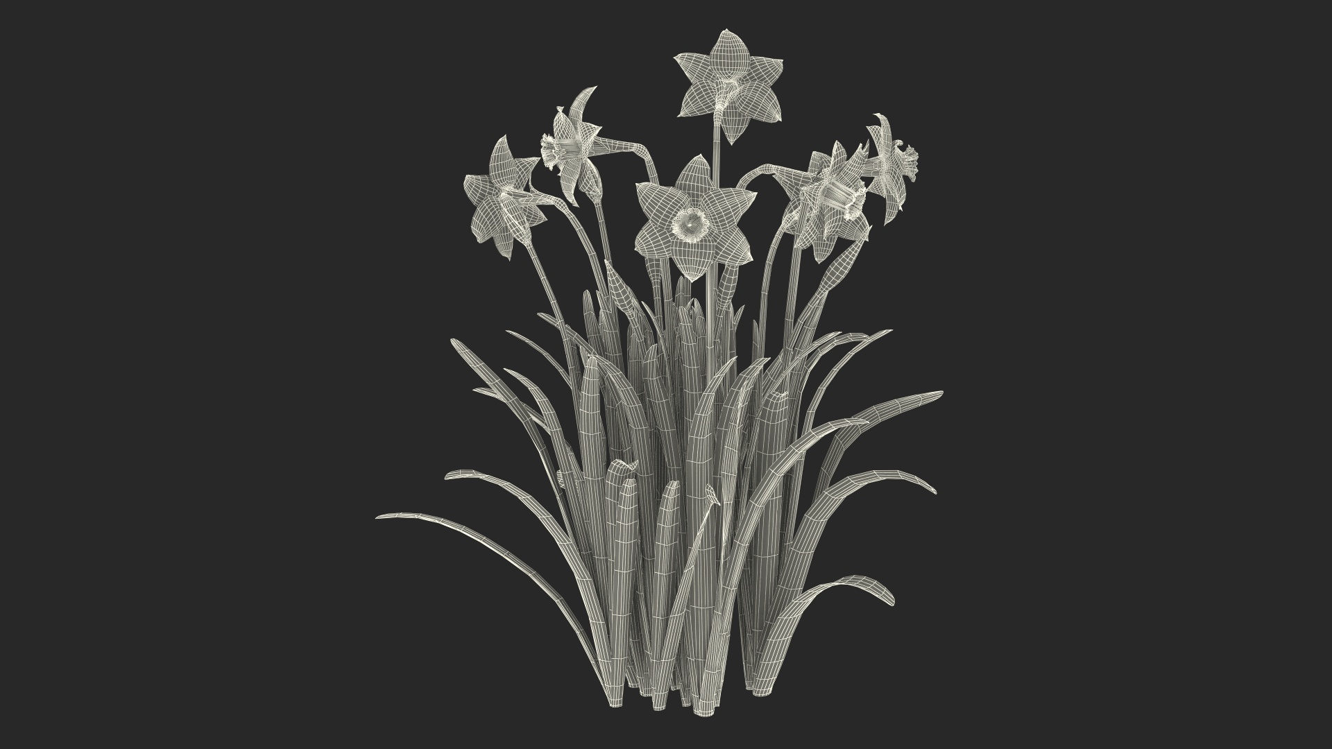 Daffodils Growing 3D Model - TurboSquid 2092977