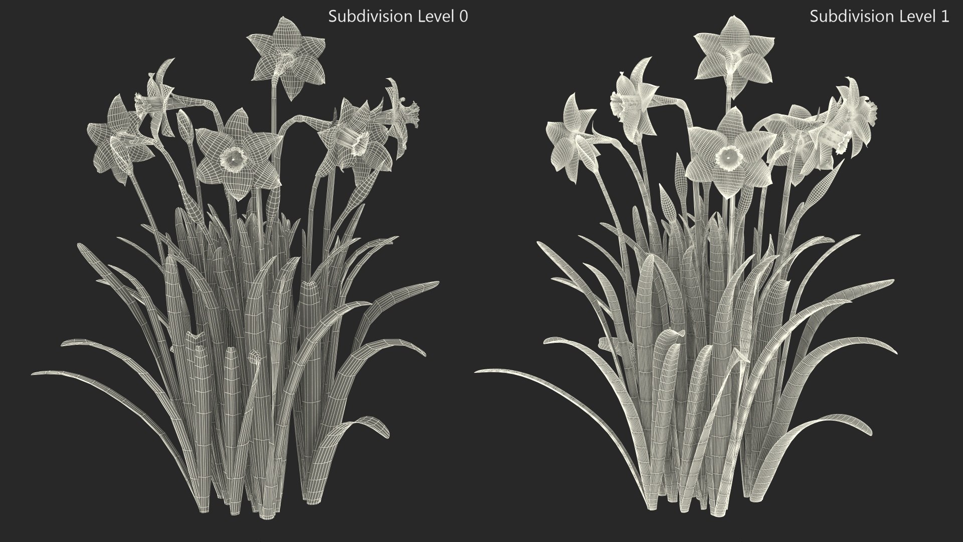 Daffodils Growing 3D Model - TurboSquid 2092977