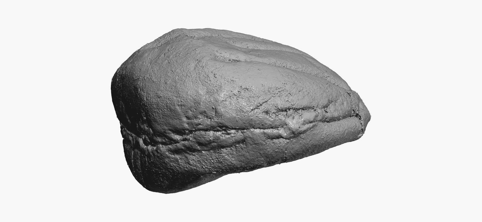 3D Powdered Donut 01 Raw - TurboSquid 1664690