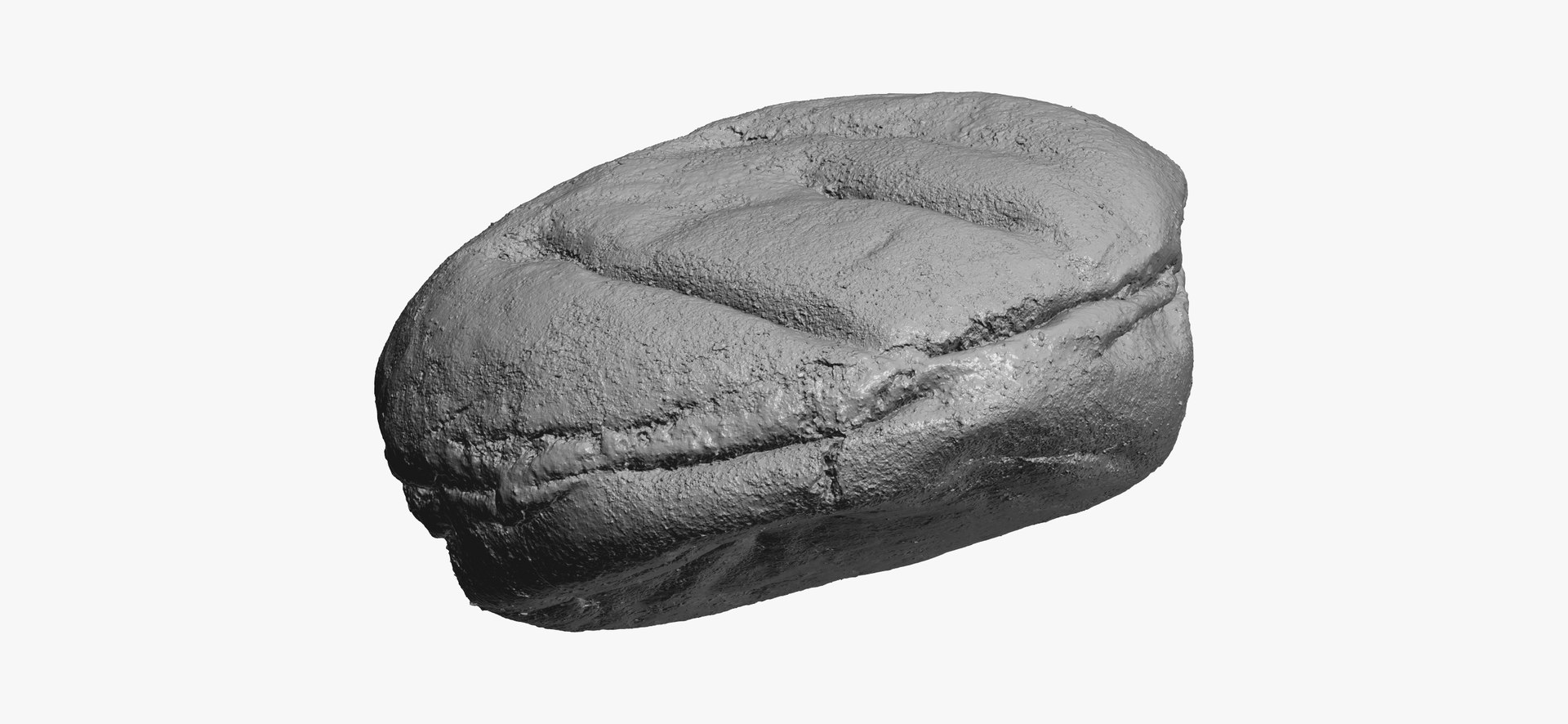 3D Powdered Donut 01 Raw - TurboSquid 1664690