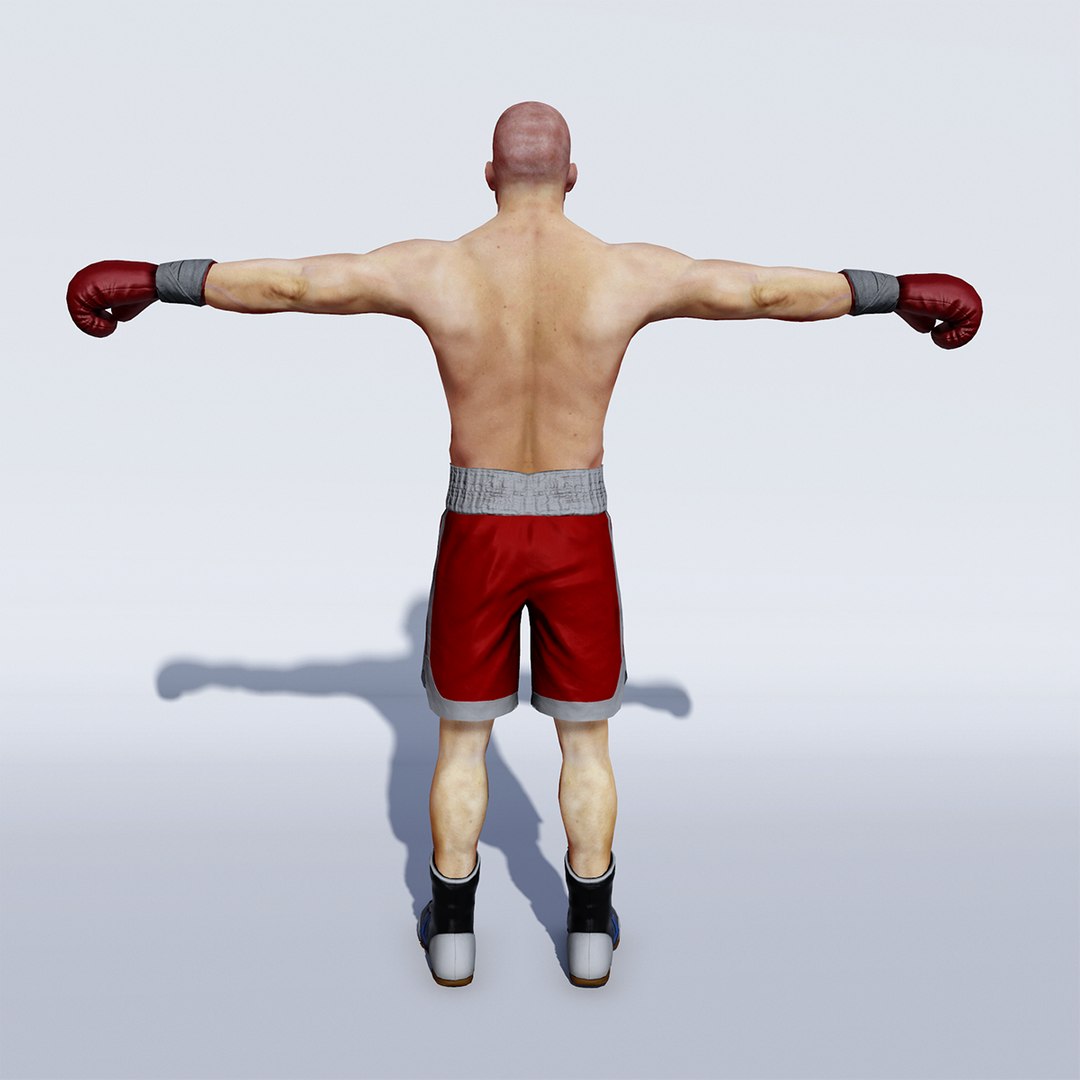 3d Professional Boxer Model