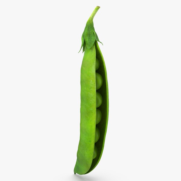 3D open green peas pod model - TurboSquid 1226648
