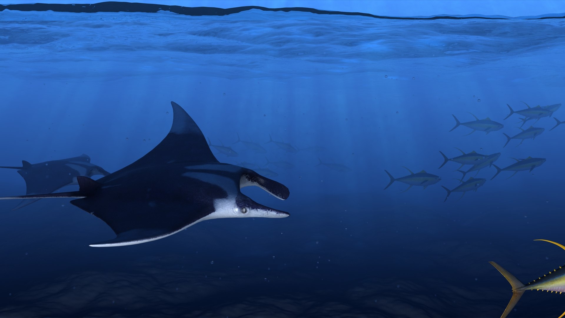3D Model Underwater Ocean Floor Seabed - TurboSquid 1659114
