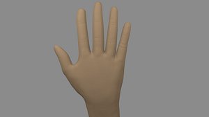 Hand 3D Models for Download | TurboSquid