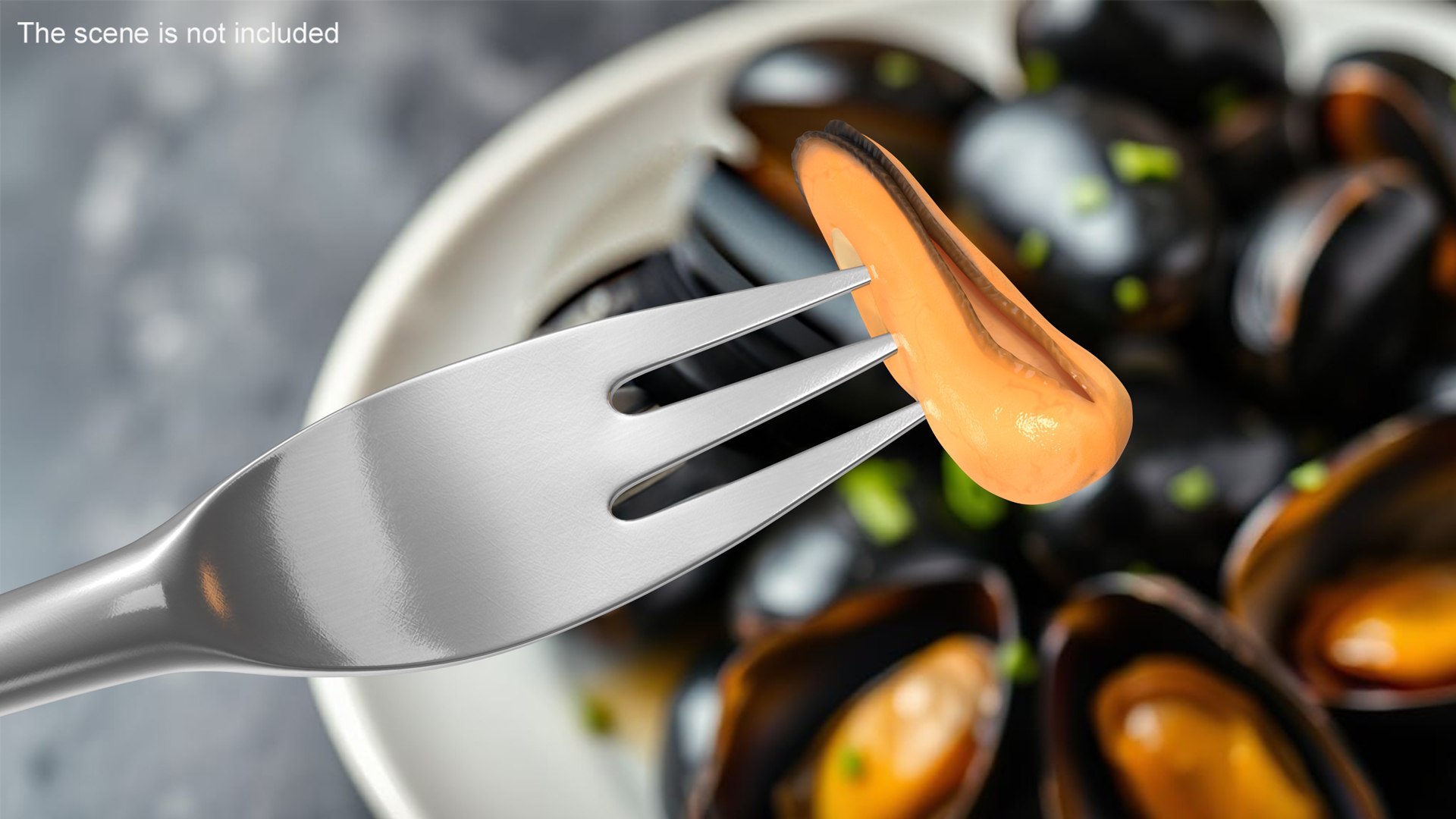 3D Boiled Mussel Meat - TurboSquid 2274281