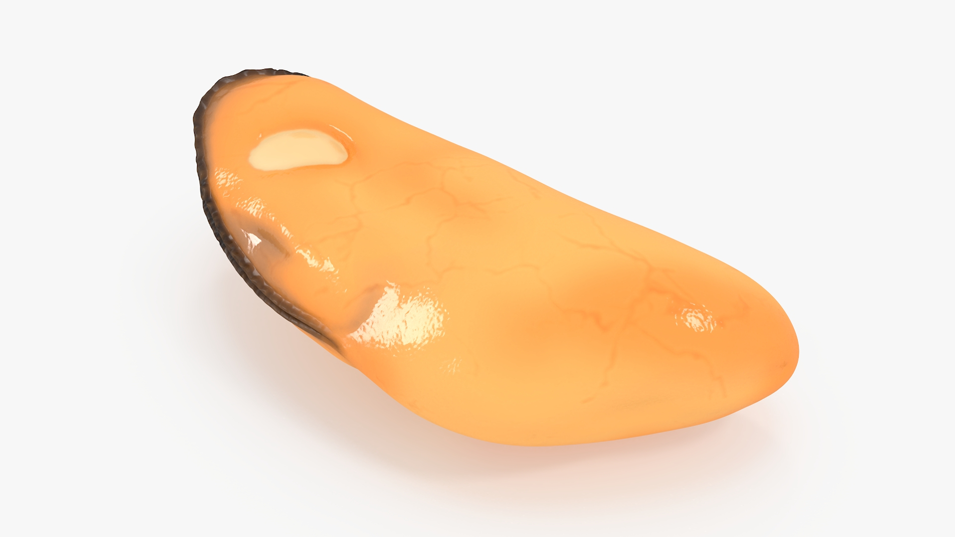 3D Boiled Mussel Meat - TurboSquid 2274281