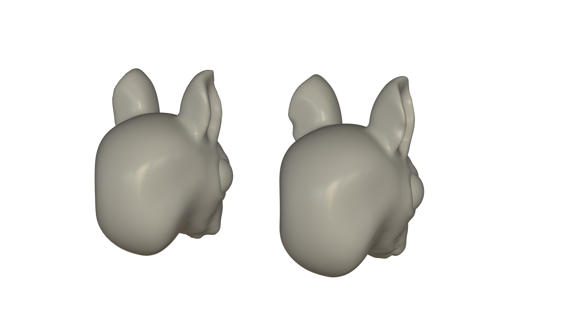 3D Squirrel Base Head Model - TurboSquid 2189113