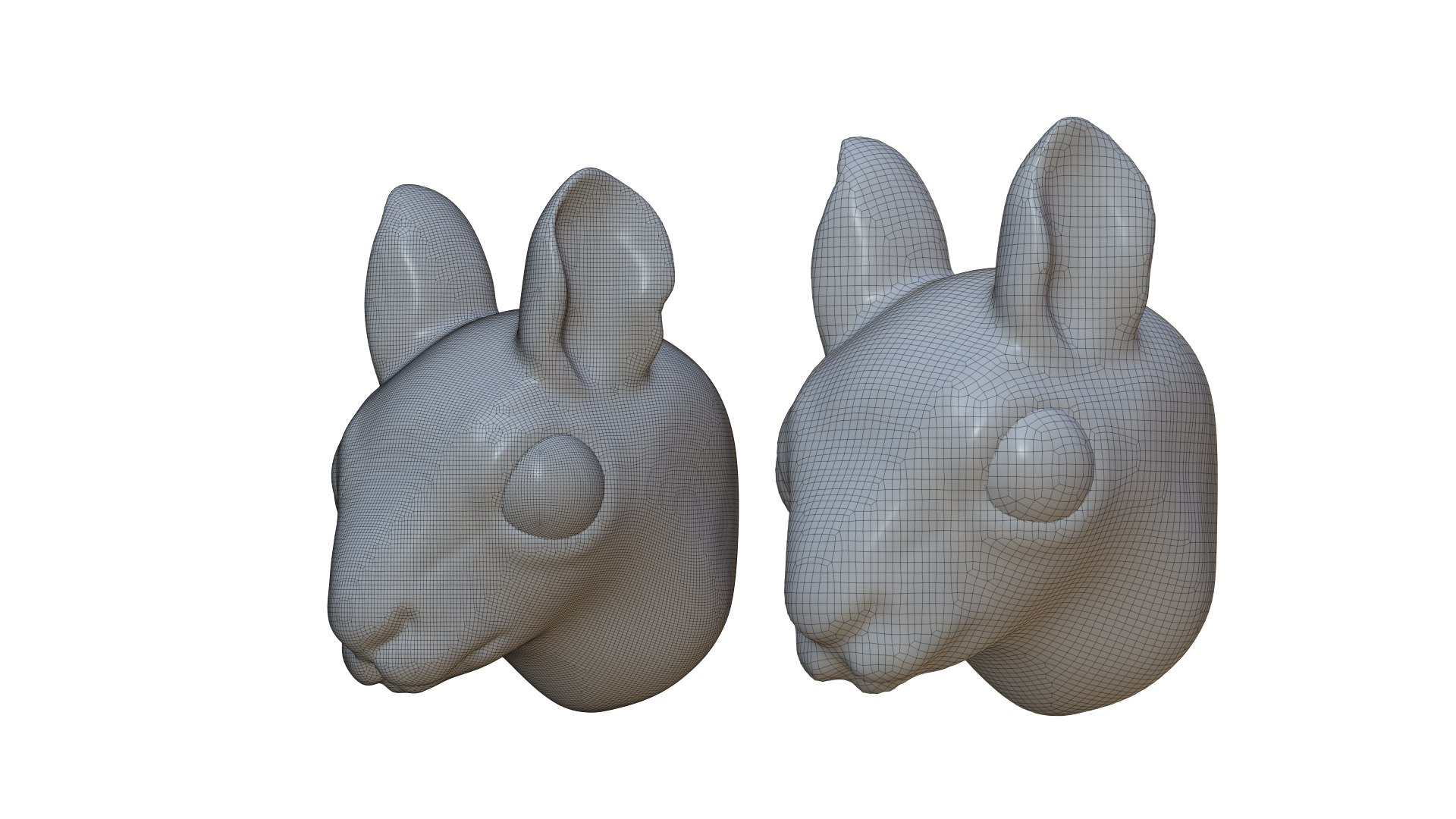 3D Squirrel Base Head Model - TurboSquid 2189113