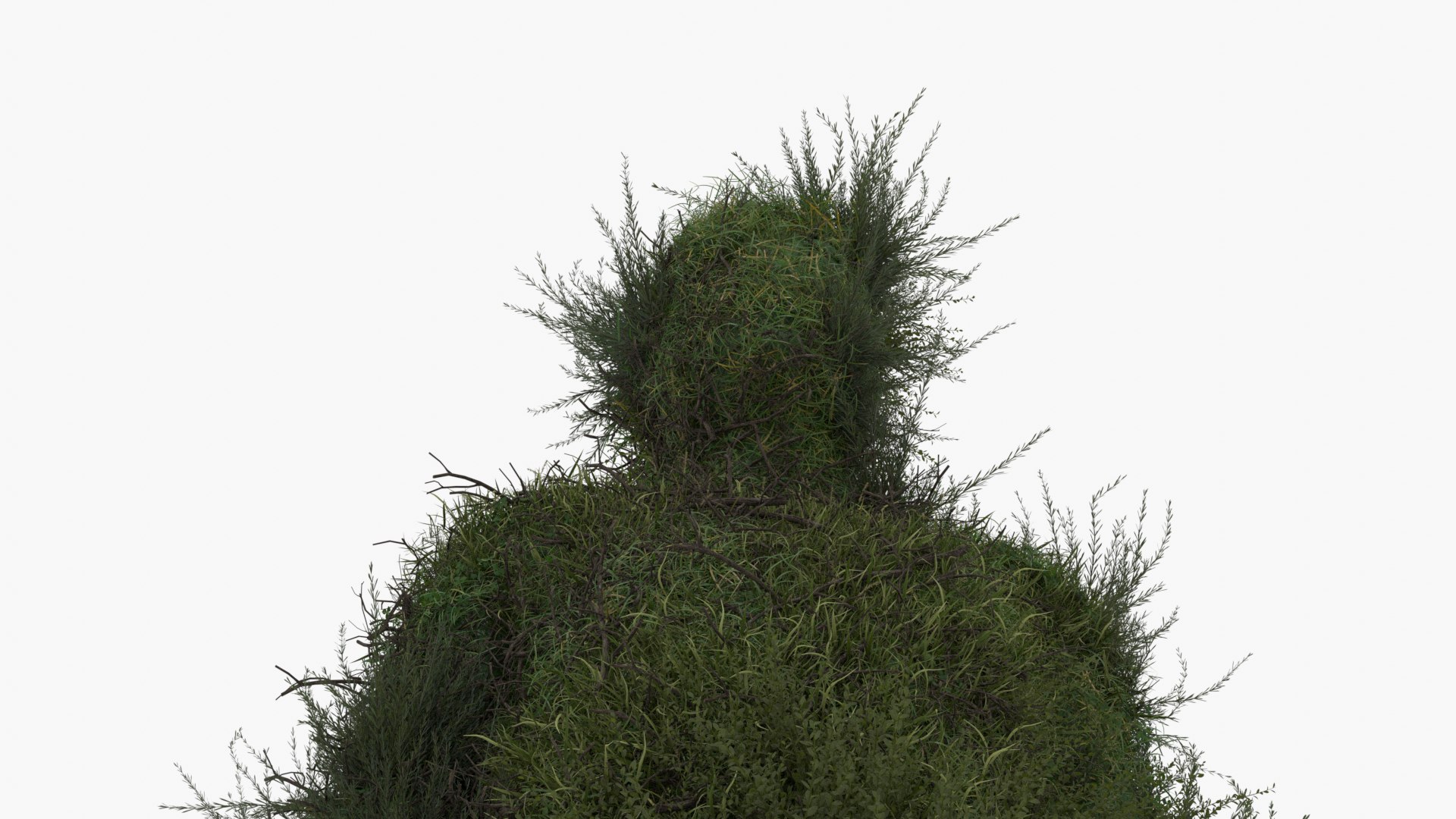 The Grass Man Model - TurboSquid 2185440