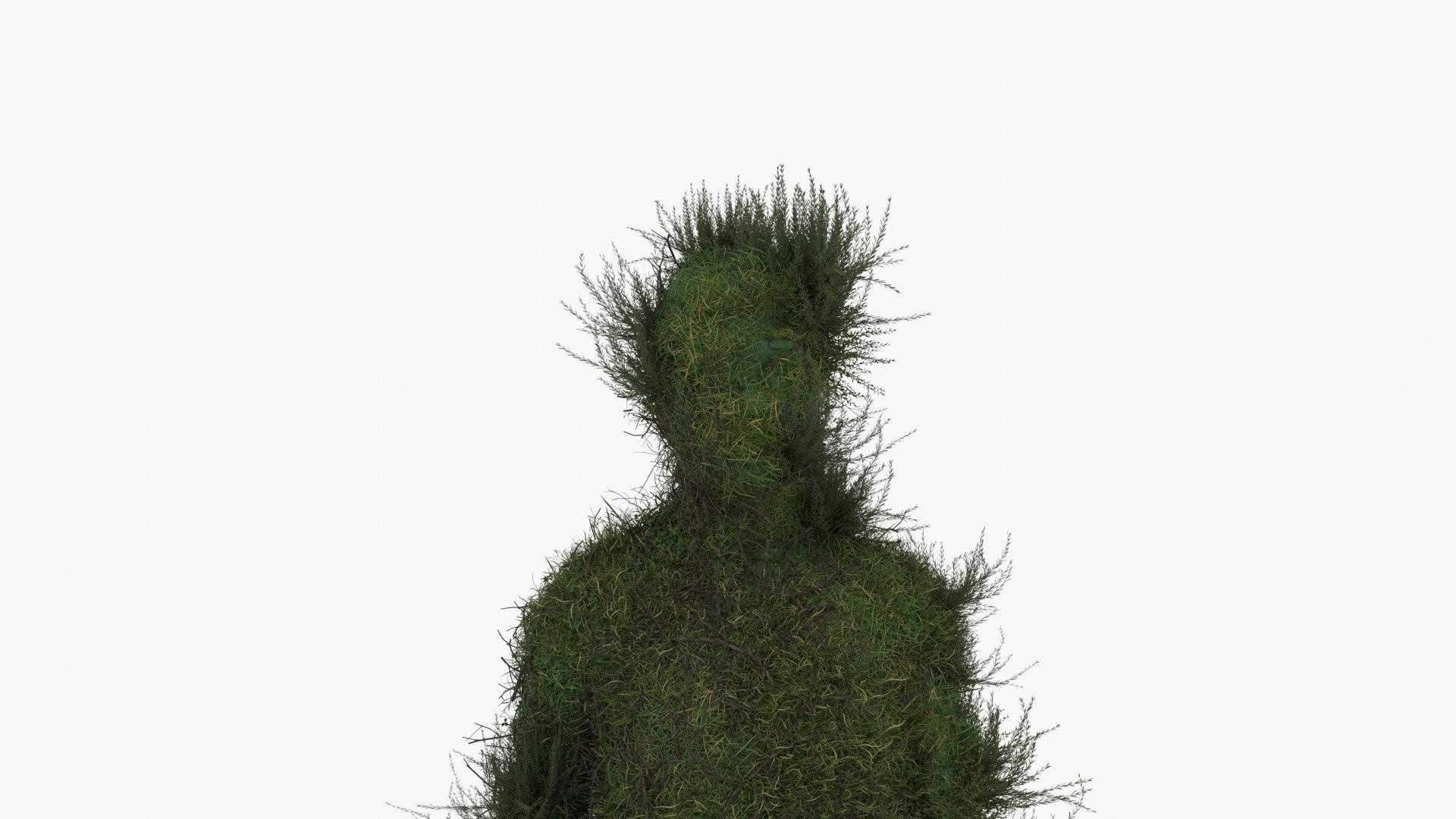 The Grass Man Model - TurboSquid 2185440