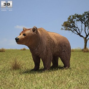 Brown Bear OBJ Models for Download | TurboSquid