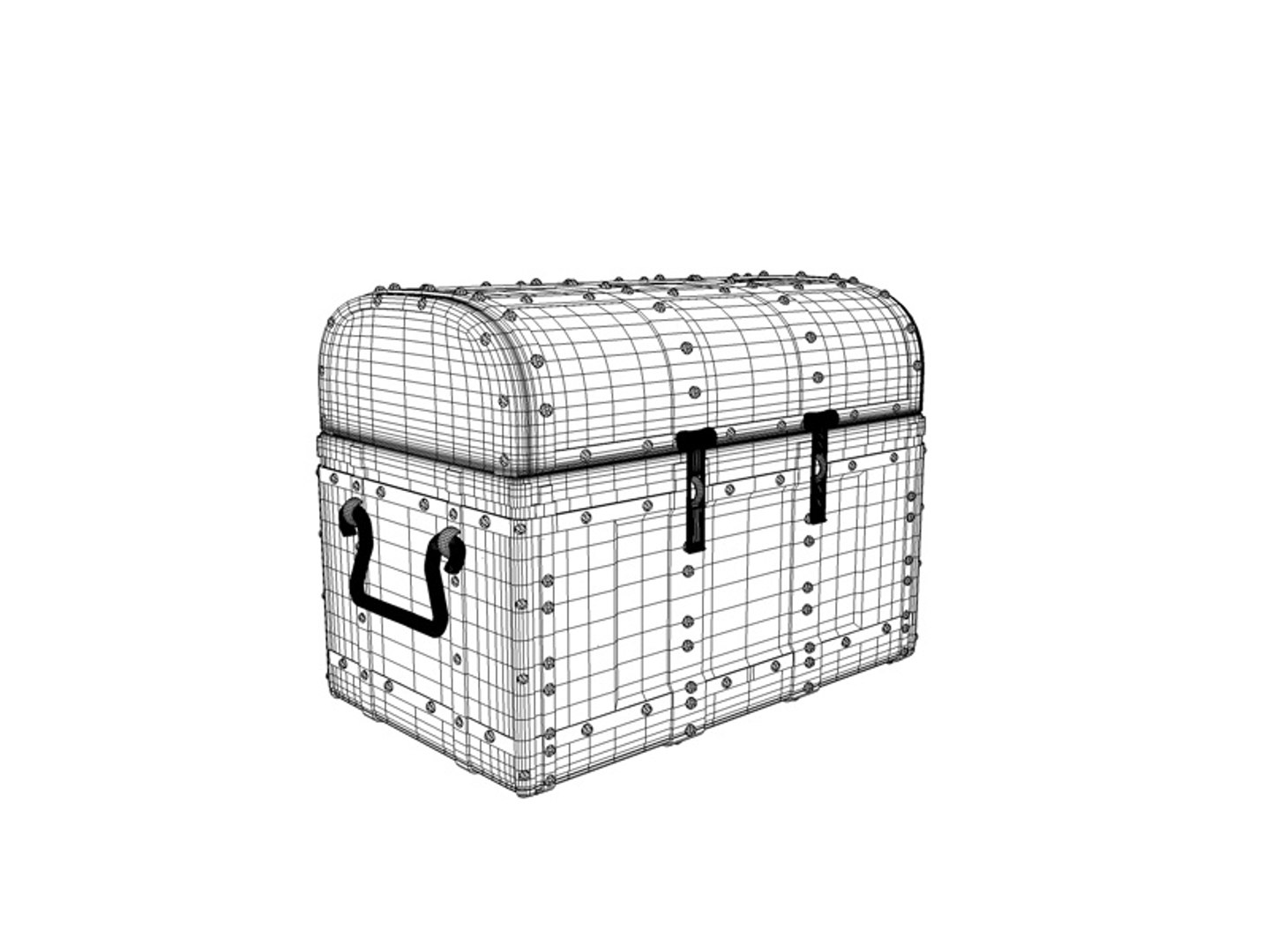 3d Model Trunk