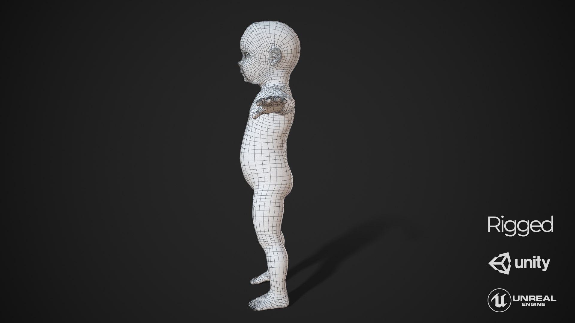 3D Base Mesh Basemesh Model - TurboSquid 1680907