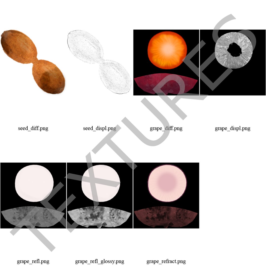 3d Red Grape Cross Section Model