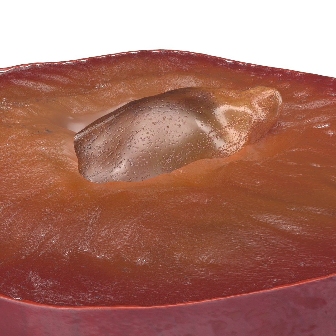 3d Red Grape Cross Section Model